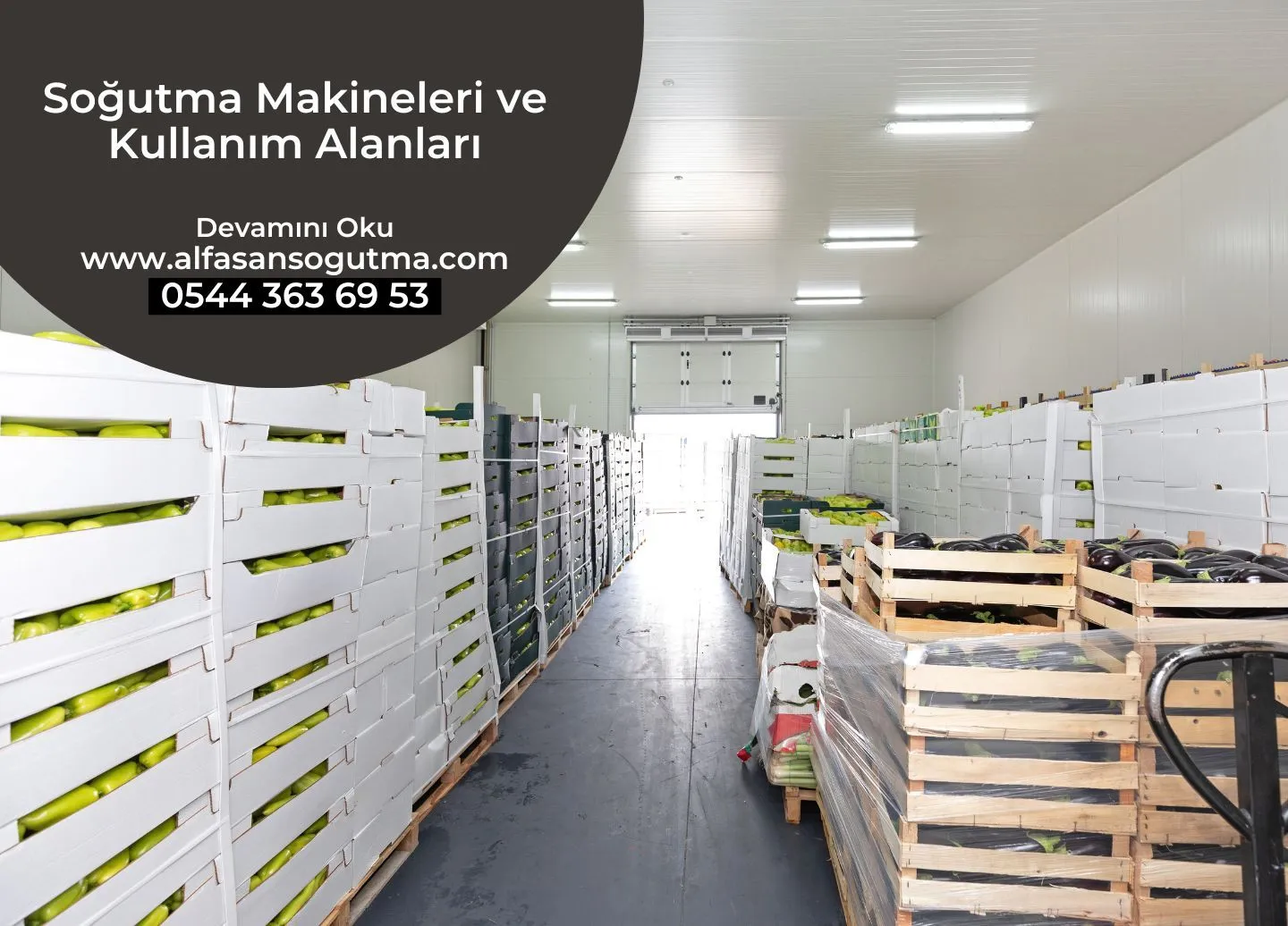Soğutma Makineleri ve Kullanım Alanları | Alfasan Soğutma